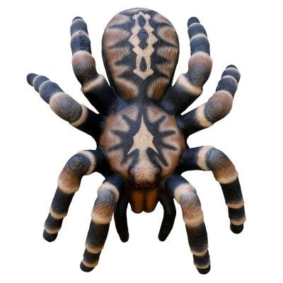 LG ANIMALS 3D-ZIEL VOGELSPINNE, 649,00